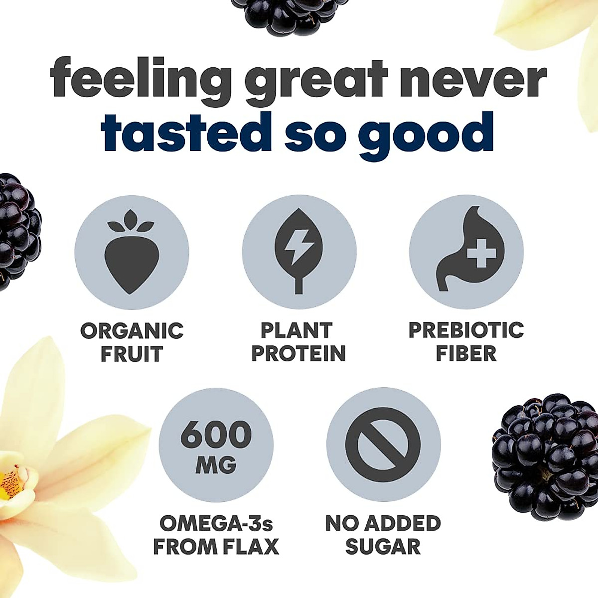 Noka Superfood Fruit Smoothie Pouches, Blackberry Vanilla, Healthy Snacks with Flax Seed, Plant Protein and Prebiotic Fiber, Vegan and Gluten Free Snacks, Organic Squeeze Pouch, 4.22 oz, 12 Count