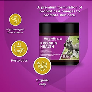 Hyland's Naturals - Pro Skin Health for Dogs, 90 Soft Chews, Supports Healthy Skin, Seasonal Allergies & Immune System, with Probiotics & Omega-3s, Trout Flavor