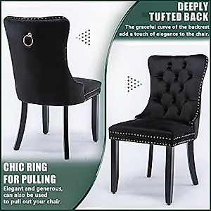 GEEVIVO Velvet Dining Chairs Set of 2, Upholstered Tufted Dining Room Chairs with Nailhead Button Back and Ring Pull Trim, Solid Wood Legs Side Dining Chairs for Dining Room/Kitchen/Restaurant, Black