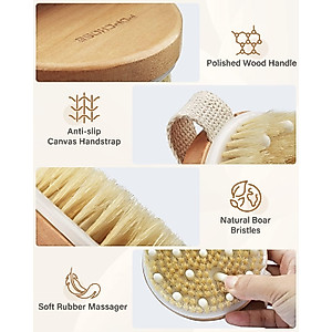 Dry Brushing Body Brush, POPCHOSE Exfoliating Body Brush for Beautiful Skin, Body Scrubber for Cellulite and Lymphatic Drainage, Blood Circulation Improvement with Natural Bristles Massage Nodules
