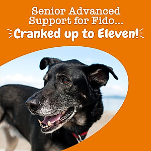 Zesty Paws Senior Dog Multivitamin Treats - Glucosamine for Dogs + Digestive Enzymes & Probiotics - Grain Free Dog Vitamins for Skin & Coat + Immune Health Chicken - Advanced - 90ct