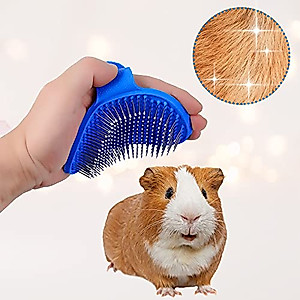 4 Pieces Bunny Grooming Kit with Rabbit Grooming Brush Pet Hair Remover Pet Nail Clipper Pet Comb Shampoo Bath Brush with Adjustable Ring Handle for Rabbit Hamster Bunny()