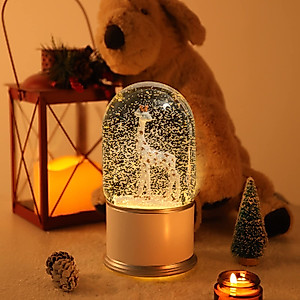 DREAM GARDEN Snow Globe for Kids, Musical Snow Globe Music Box Giraffe Snowglobe Water Globe Gifts for Girls Kids Daughters
