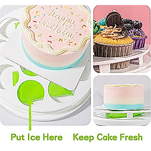 Yesland Cake Carrier with Collapsible Handle - White Cake Container and Holder with Lid - Portable Plastic Round Cake Cover for 10 inch Cake, Pies, Cookies, Nuts, Muffins, Cupcakes and Fruit