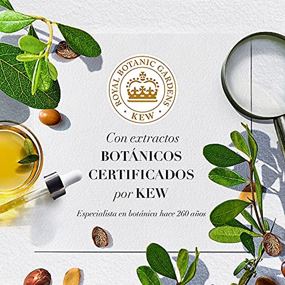 Herbal Essences bio:renew Arabica Coffee Fruit Volumizing Conditioner, 13.5 fl oz