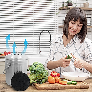 BioStrike Compost Crock - Activated Carbon Filters for Compost Bucket, Control Kitchen Odors, 5.5-inch Round, Made in USA (4 Count)