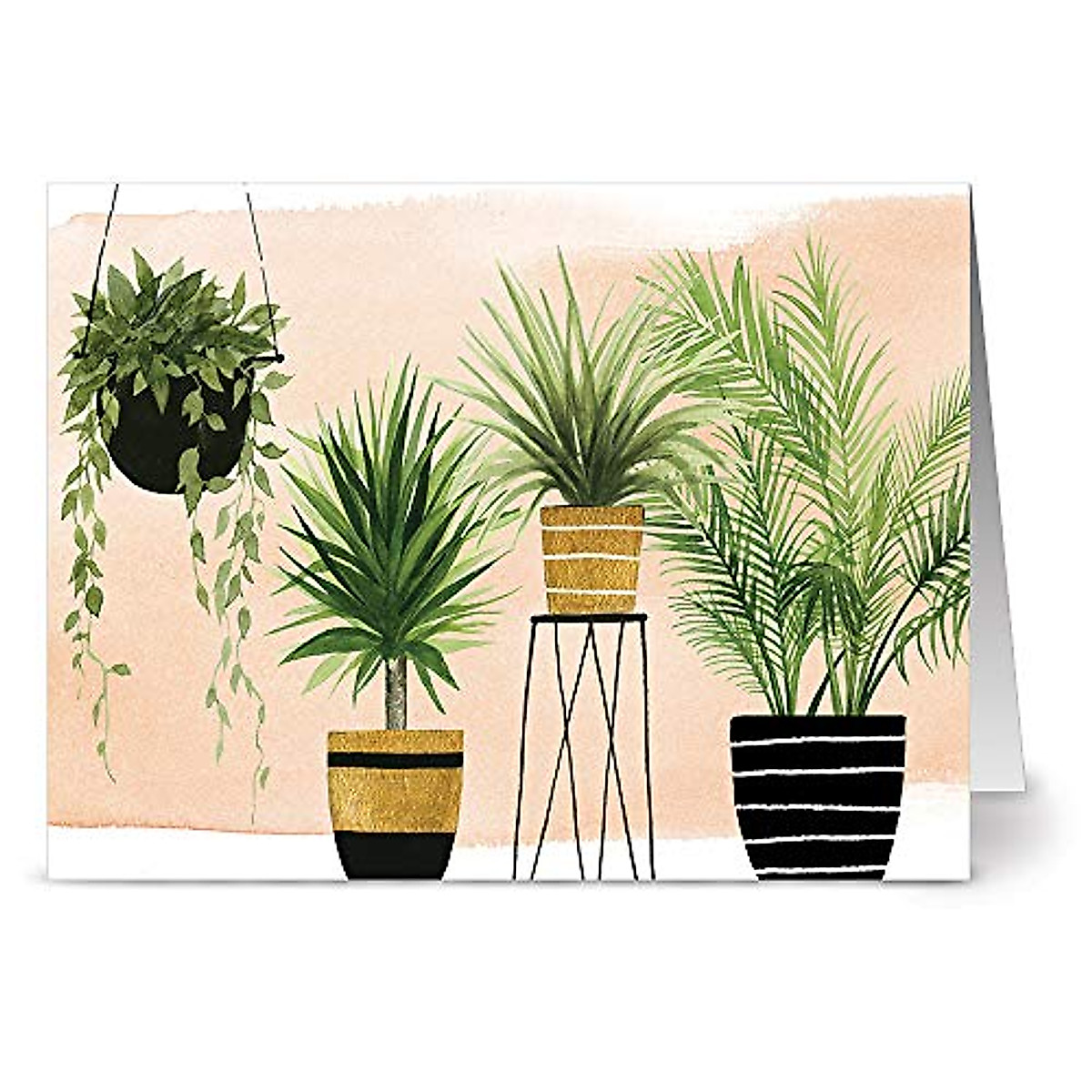 All Occasion Greeting Cards Assortment – 72 Pack - 6 Unique Indoor Oasis Design Series Set – KRAFT ENVELOPES INCLUDED – Blank Greeting Card – Glossy Cover Blank Inside – By Note Card Café