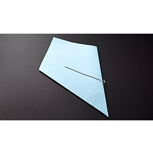 FCZDQ Lucky Fish Cremation Keychain for Ashes Memorial Keepsake Urn Pendant Jewelry with Funnel Kit