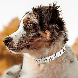 MLB Dog Collar Atlanta Braves New Signature PRO PVC-Leather Premium Pet Collars Extra Tough & Durable! Super Stylish! Size: Medium Adjustable 16-20" Length x 1" Width