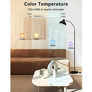 YHW Living Room Floor Lamp Smart Compatible with Alexa&Google, RGB 2700-6500k CCT Dimmable Color Changing for Bedroom Office.