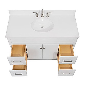ARIEL 49" White Bathroom Vanity with 1.5" Edge Pure White Quartz Countertop & Splash, Rectangular Sink, 2 Soft Closing Doors, 4 Full Extension Dovetail Drawers, Built in Toe Kick, Brushed Nickel