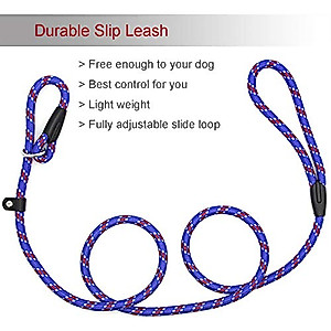 Dog Rope Leash, 5 FT Pet Slip Lead, Dog Training Leash, Standard Adjustable Pet Nylon Leash for Small Medium Dogs 10-80 lb Walking(Blue)