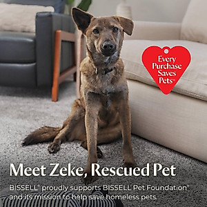 Bissell SpinWave Expert Hard Floor Spin Mop, 20393, White/Black