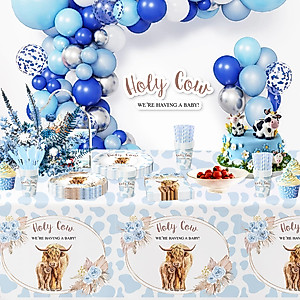 APOWBLS Highland Cow Baby Shower Decorations, Holy Cow Baby Boy Party Supplies Tableware, Paper Plate, Cup, Napkin, Tablecloth, Cutlery, Blue Boho Highland Cow Baby Shower Table Decorations | Serve 24