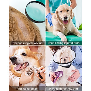 Dog Cone for Dogs After Surgery, Soft Dog Recovery Cone, Breathable Dog Cones for Large and Medium Small Dogs,Adjustable Dog Recovery Collar for Pets,Wound Healing Safety E-Collar (Medium Dog)