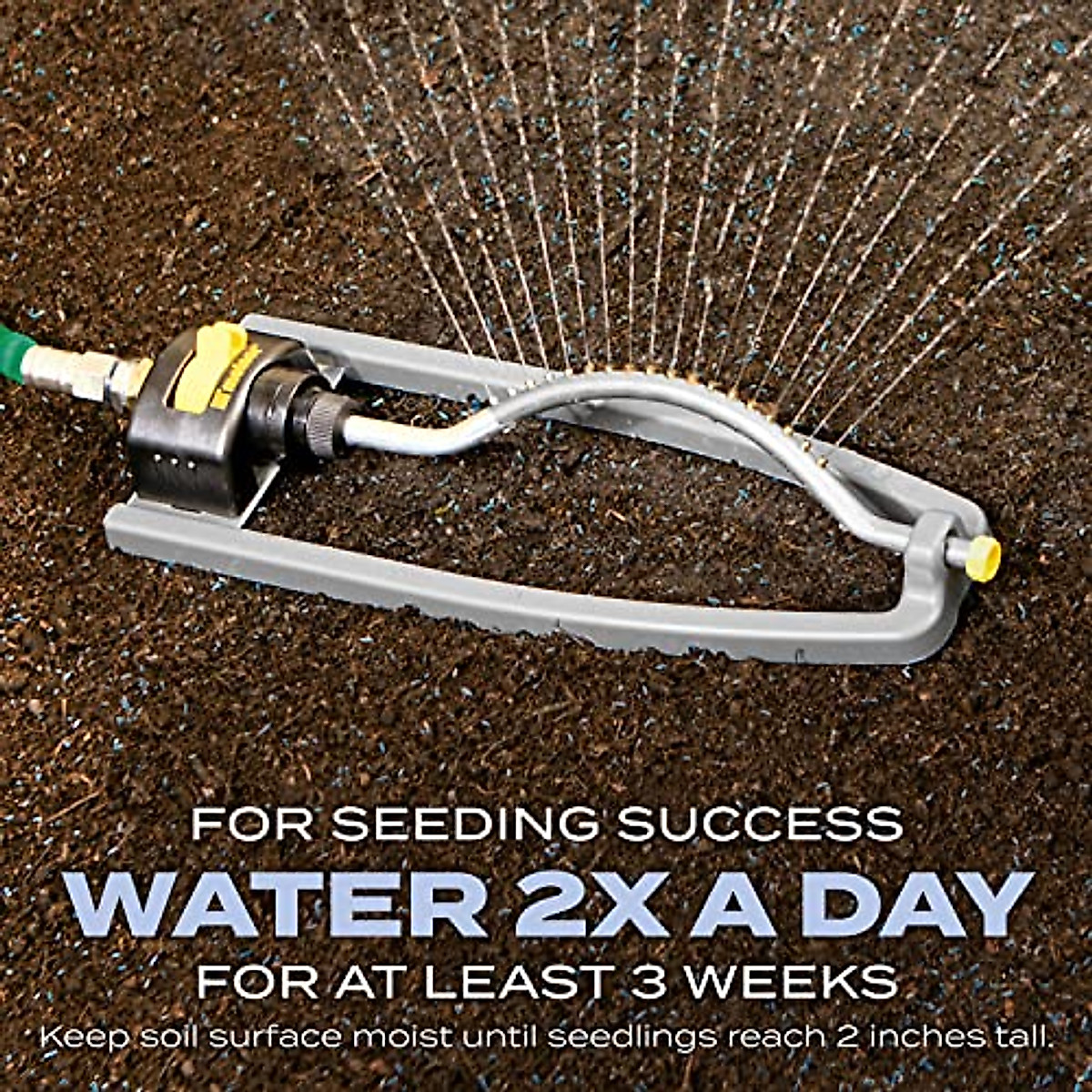 Scotts Turf Builder Grass Seed Heat-Tolerant Blue Mix for Tall Fescue Lawns with Fertilizer and Soil Improver, 2.4 lbs.