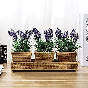 MyGift Countertop Herb Garden Container, Rustic Brown Wood Planter Box Succulent/Flower Pot Set with Decorative Bottom Tray and Plastic Liner