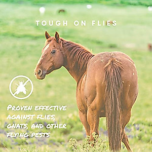 Espree Aloe Herbal Horse Spray | Fly Repellent with Aloe, Sunscreen, and Coat Conditioners | Promotes a Healthy Coat and Protection from The Sun | 32 oz Ready to Use