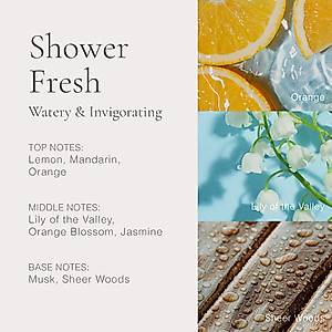 CLEAN CLASSIC Shower Fresh 30mL