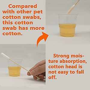 6 Inch Long Cotton Swabs of Medium and Large Pets Ears Cleaning or Makeup 100pcs