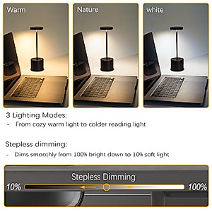 Barryca 12 Inch Cordless Table Lamp Rechargeable, Battery Operated Metal USB Desk Lamp, Portable Led Outdoor Light, Stepless Dimmable, for Outside/Indoor/Restaurant/Home/Dinner/Patio