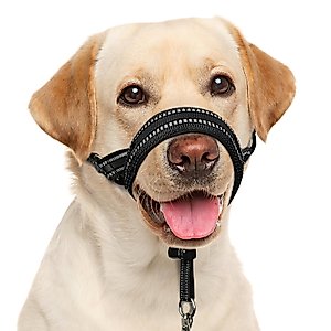 BARKLESS Soft Dog Head Collar, Padded No Pull Head Halter, Dog Training Nose Leash with Safety Link for Medium Large Dogs, Adjustable Muzzle Leash, Easy Control for Dog Walks(Black, M)