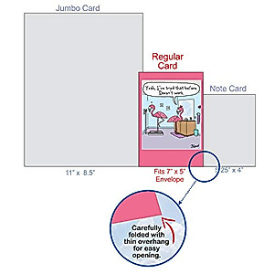 NobleWorks - 1 Funny Women's Birthday Card with Envelope - Cartoon Humor, Stationery Bday Celebration Card for Wife, Women - Flamingo Scale C3370BDG