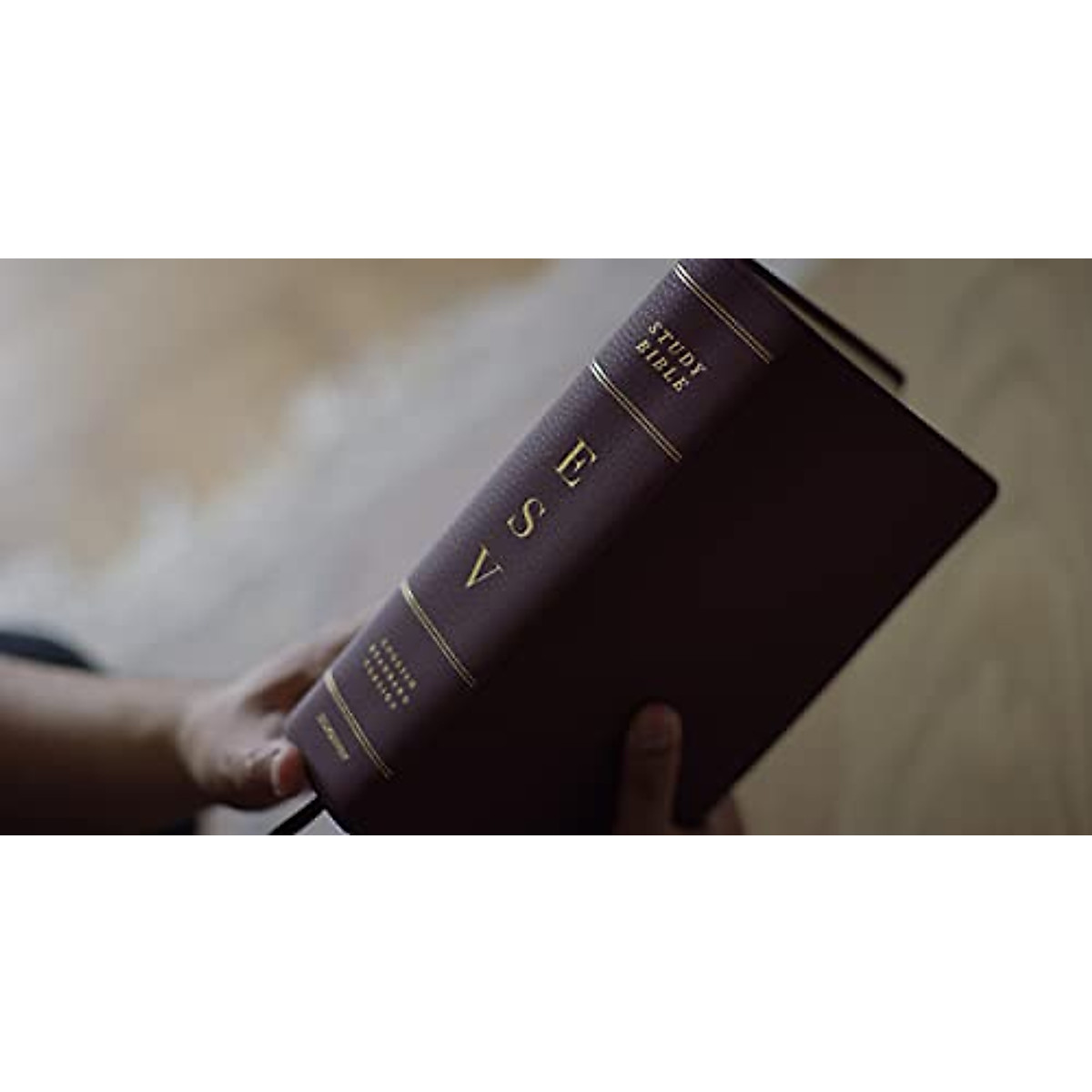 ESV Study Bible, Large Print (Bonded Leather, Burgundy)