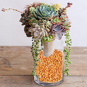 HappyFiller 1.6 LB Orange Gravels Decorative Terrarium 2-5mm Stones,Plants Topper Dressing,Bonsai Succulent Plants Soil Cover, Zen Fairy Garden,Grow Media Decor Cultivation Hydroponic Pebbles