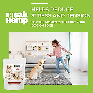 Best Cali Hemp Puppy Treats Calming Chews for Dogs Anxiety with Vitamin A, E, D3, B12 Supplement, Helps Relax, Reduce Stress, Storm Anxiety, Calming, Sleep Aid for Dogs - Bacon (30 Treats)