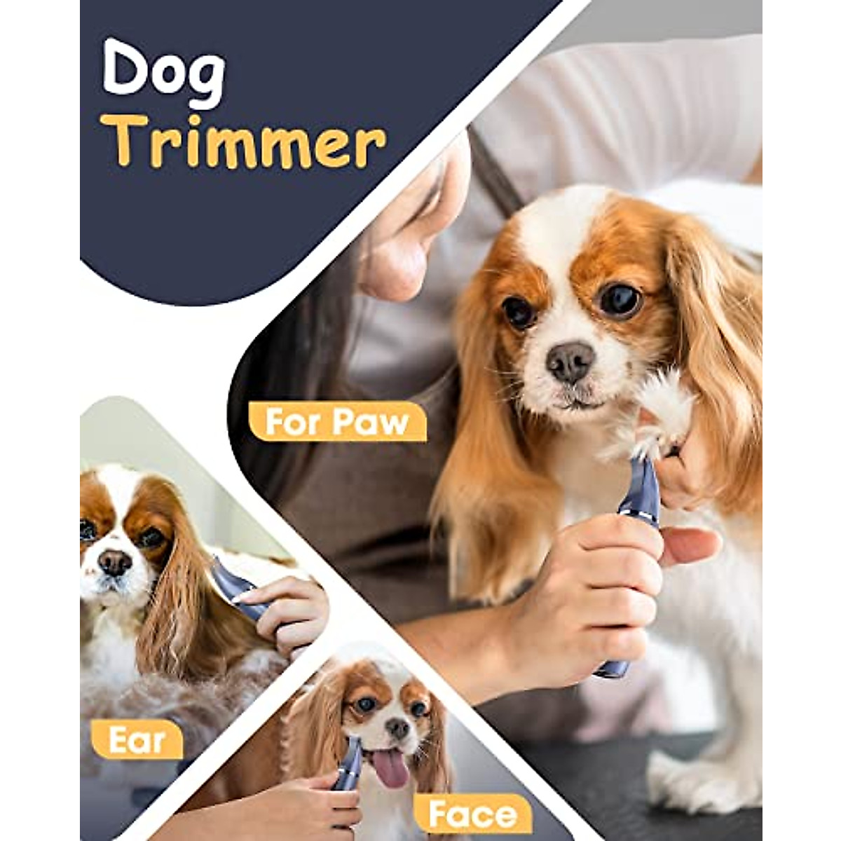 oneisall Dog Paw Trimmer for Grooming with Double Blades, Low Noise 2-Speed Small Dog Cat Grooming Clippers for Paws, Eyes, Ears, Face, Rump (Blue)