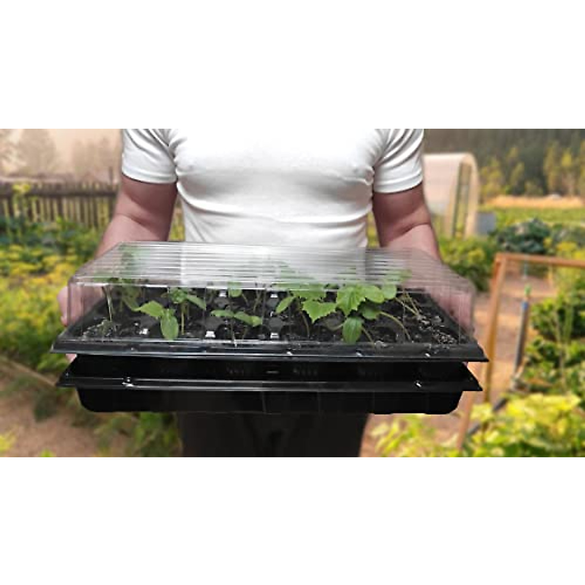 ZIRKA Seed Starter Tray with Dome Kit 5 Pack Heavy Duty Plant Germination Trays 18 Cells Propagation Tray 17.3x8x3 inch