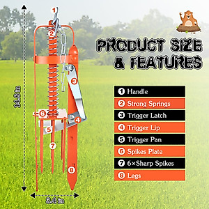 Qualirey 2 Pcs Mole Trap for Lawns, Spear Style Mole Killer for Garden Yard Outdoor, Alloy Steel Mechanical Vole Gopher Trap, Quick and Clean Mole Traps That Kill Best