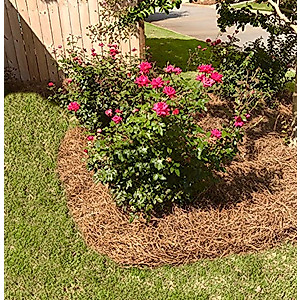 USA Pine Straw - Premium Pine Needle Mulch - Covers 300 Sqft (1)
