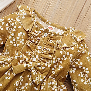 Newborn Baby Girl Fall Winter Corduroy Dress Ruffle Long Sleeve Floral Dresses Infant Flower Clothes (Brown, 0-3 Months)