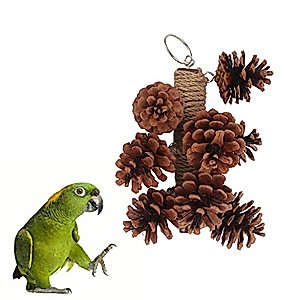 Parrots Pine Cone Chewing Toy, Hamster Chew Toys Hanging Wooden Pine Cones Bird Cage Funny Chewing Toy for Parakeet Cockatiel Grey Lovebirds Budgies Cockatoos(S)
