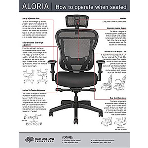 Oak Hollow Furniture Aloria Series Office Chair Ergonomic Executive Computer Chair, Fabric Soft Seat Cushion, Mesh Back, Adjustable Lumbar Support Swivel and Tilt (Black, Headrest)