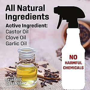 Exterminators Choice - Squirrel Defense Spray - 32 Ounce - Natural, Non-Toxic Squirrel Repellent - Quick and Easy Pest Control - Safe Around Kids and Pets - Deters But Doesn’t Harm