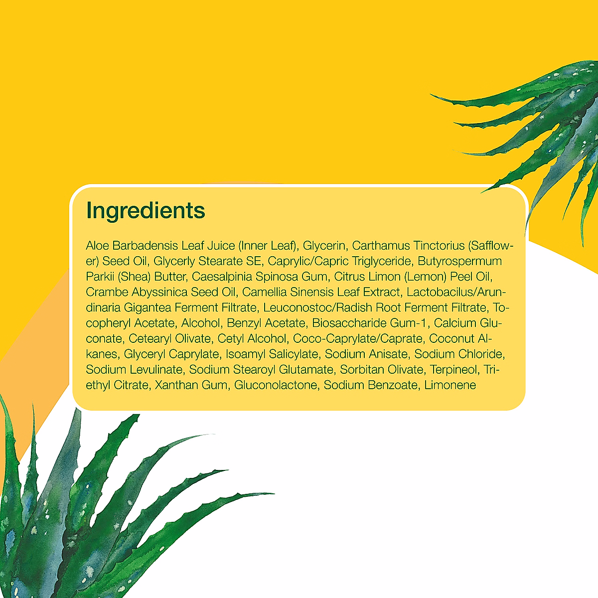 Alba Botanica Aloe Vera Lotion for Skin, Soothing After Sun Treatment for Face and Body, Made with Purity Certified 80% Aloe Vera Gel Formula, 8 fl. oz. Tube