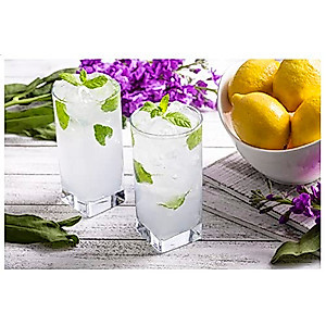 Highball Glasses [Set of 4] + 4 Stainless Steel Straws, 16 oz Lead-Free Crystal Clear Glass, Elegant Drinking Cups for Water, Wine, Beer, Cocktails and Mixed Drinks - Round Top, Square Bottom