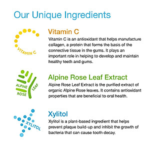 Rain Natural Bamboo Kids Toothbrush Set Fluoride-Free Baby Toothpaste Safe to Swallow with Vitamin C for 6 to 12 Months Up Infant Toddler Toothbrush BPA-Free Biodegradable (1 Toothbrush 1 Toothpaste)