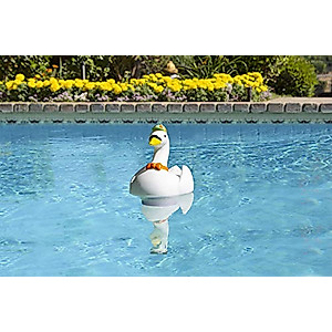 Poolmaster Swimming Pool Chlorine Dispenser, Goose