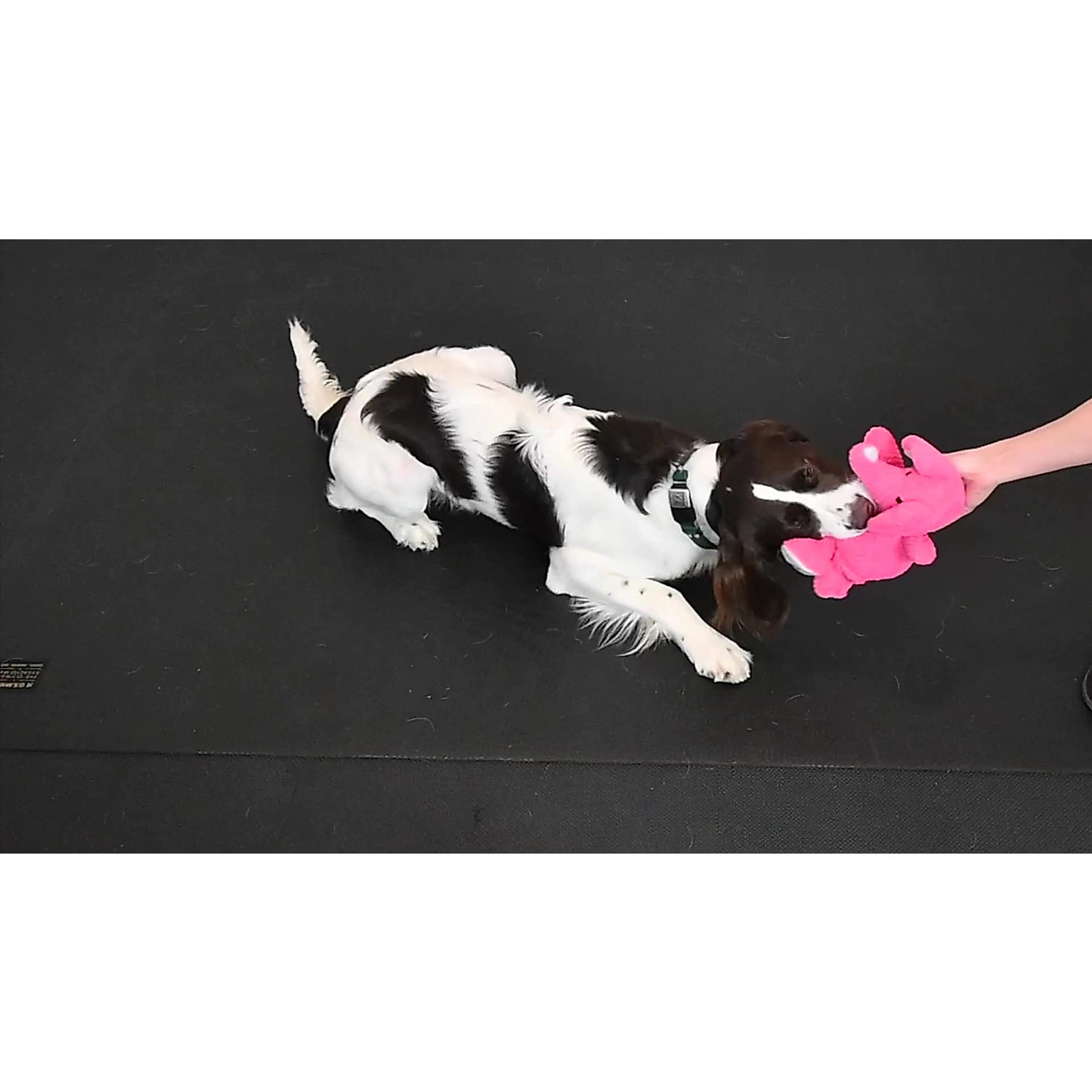 Glory To Dog Eunice The Elephant Large Plush Pink Dog Toy