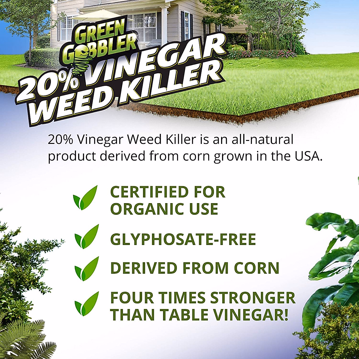 Green Gobbler 20% Vinegar Weed & Grass Killer | Natural and Organic | 1 Gallon | Glyphosate Free Herbicide | Refill