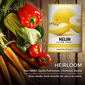 Yellow Canary Melon Seeds for Planting Heirloom, Non-GMO Vegetable Variety- 2 Grams Seed Great for Summer Melon Gardens by Gardeners Basics