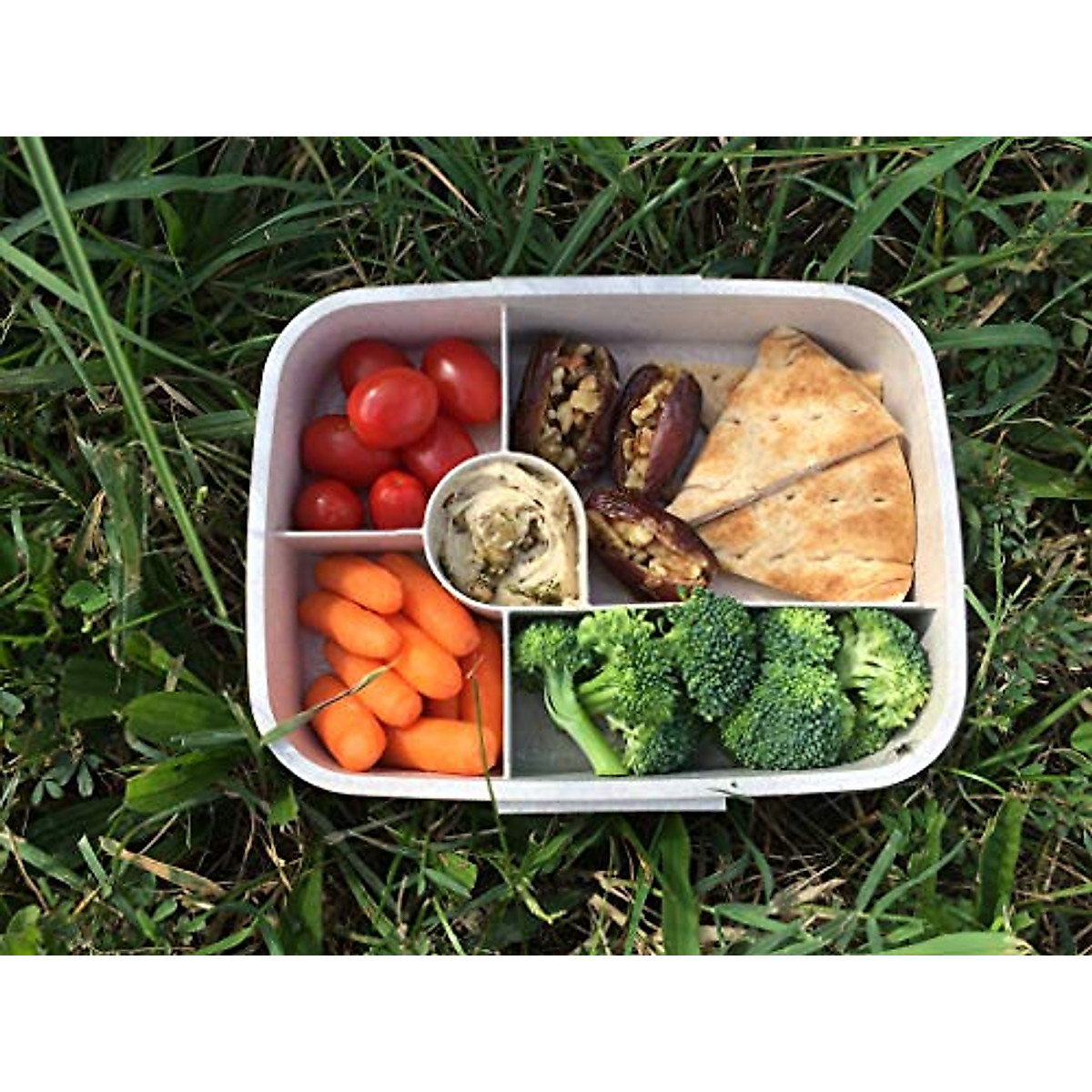 Eco-Life Home Design Bento Box - Eco Friendly, Leakproof Bento Lunch Box. Five Compartment, Wheat Fiber Bento Box for Kids and Adults. Microwave and Freezer Friendly Edo Box