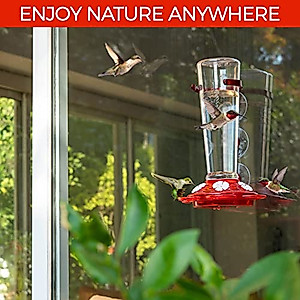 Large Leak Proof Window Hummingbird Feeders for Outdoors Hanging - Ant and Bee Proof - Window Hummingbird Feeder for Outdoor - Hummingbird Feeder Window Mount