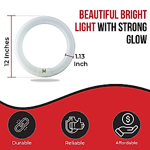 Bulbmaster FC12T9/CW 32 Watts 12 Inch Round T9 Fluorescent Circular Light Bulb, Cool White 4100K, FC12T9 1930 Lumens G10Q 4-Pin Base 32W Circline Ceiling Lights