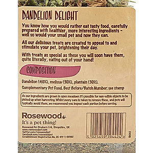 Rosewood Pet 1 Pouch Dandelion Delight Food For Small Animals, 100G
