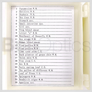 BoliOptics 25 Prepared Microscope Slides General Biology Specimen Set Plant Animal Human Anatomy Cells for Students Hobbyists Beginners Kids Homeschool, SL39901006